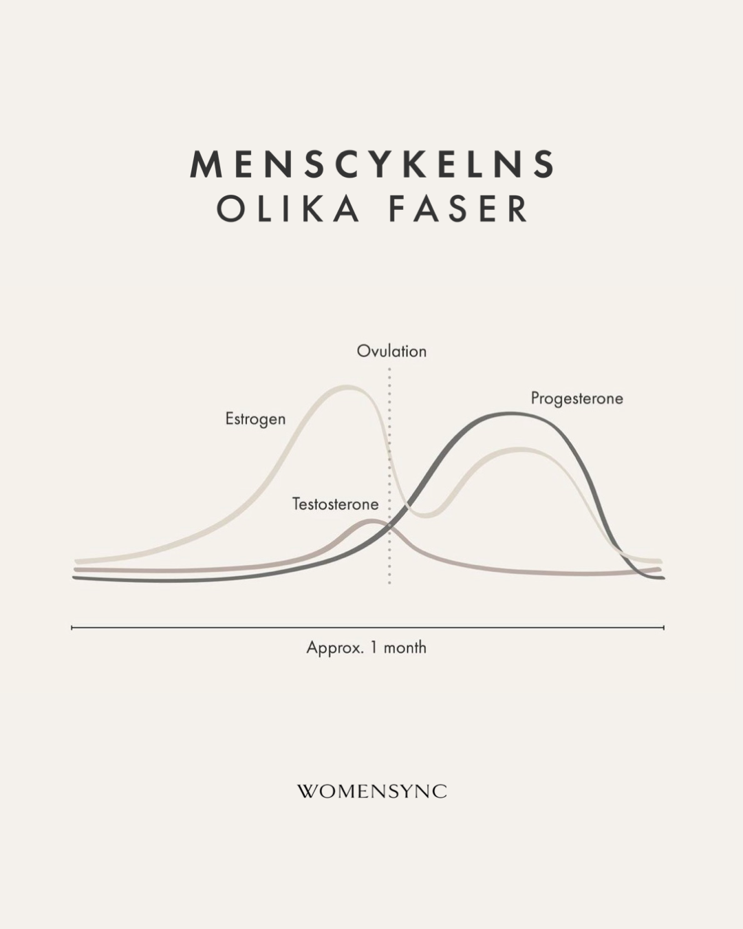 Changes In Testosterone During Menstrual Cycle Understanding The